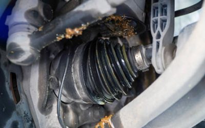 5 Signs Associated with a Volkswagen Half-Shaft Boot Failure